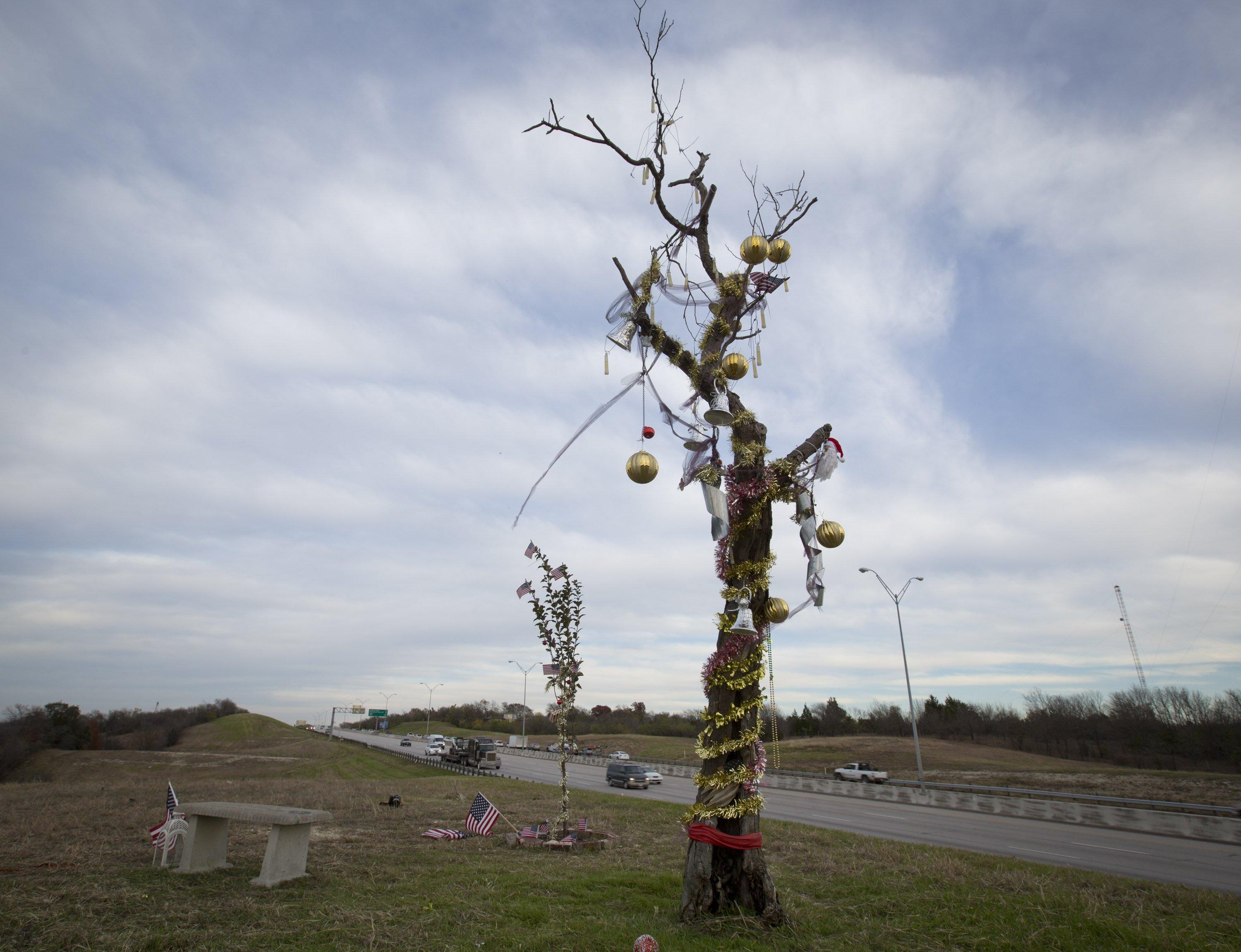 Homeless Christmas Tree
