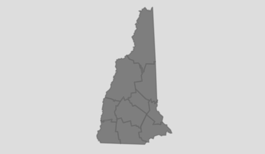 Elections 2020 - Live New Hampshire Primary Results & Map - Washington ...