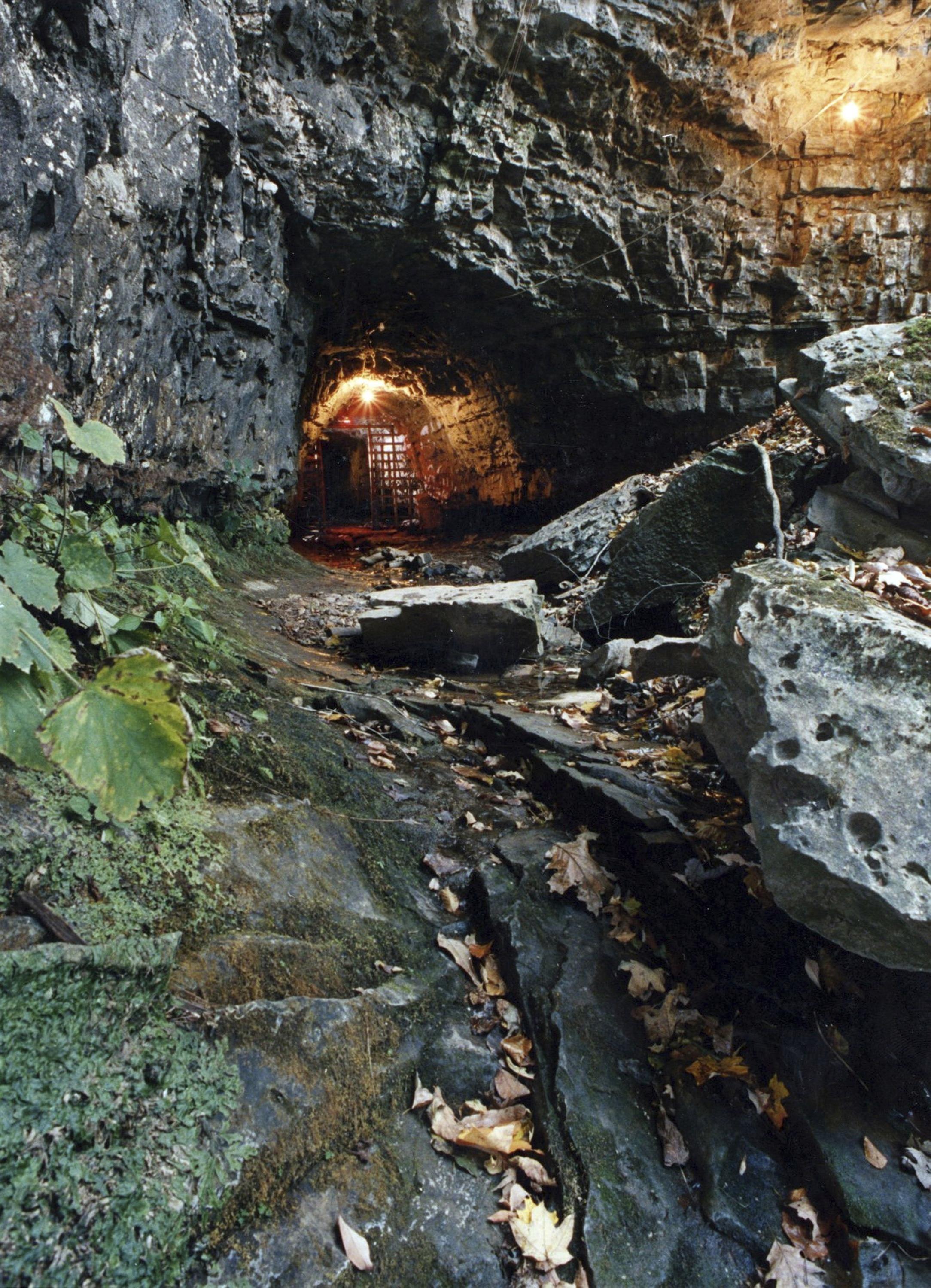 Bell Witch Family Tree