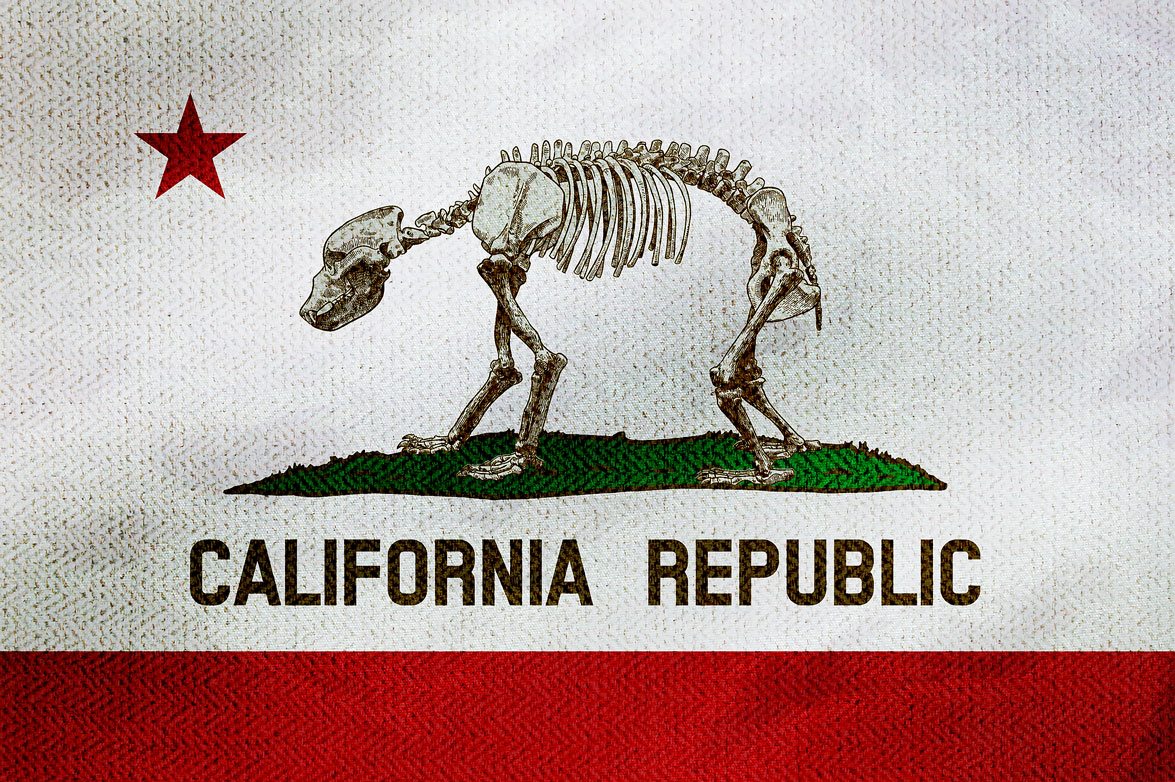 California becomes America's cannibal state - Washington Times